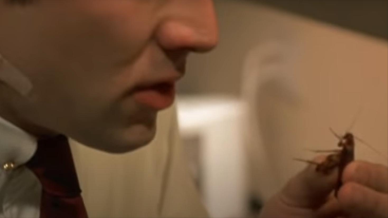 Oscar winner eats two cockroaches for movie - iMedia