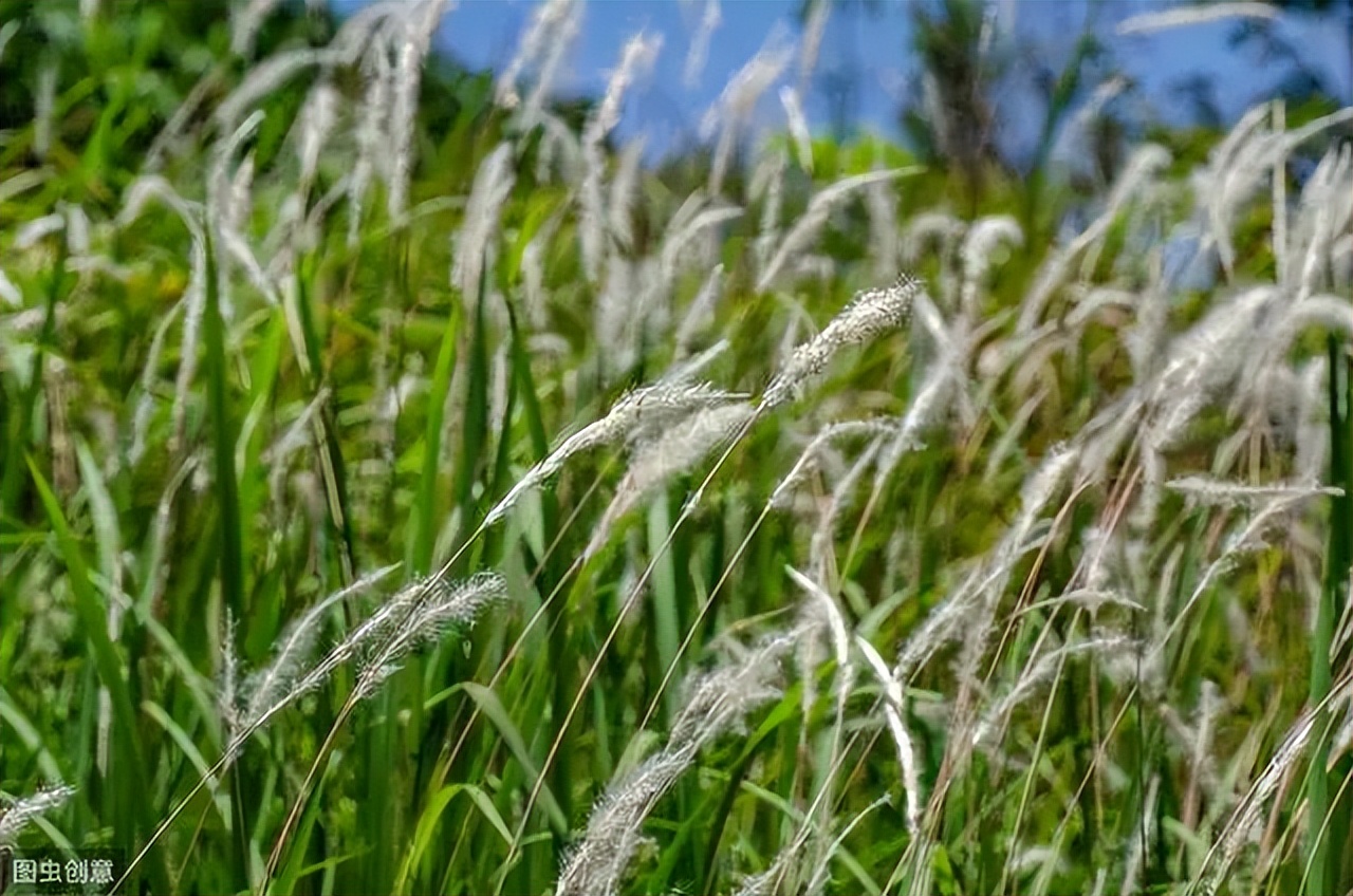 Zeng Guo's Bronze Exhibition · History ⑤ - iMedia