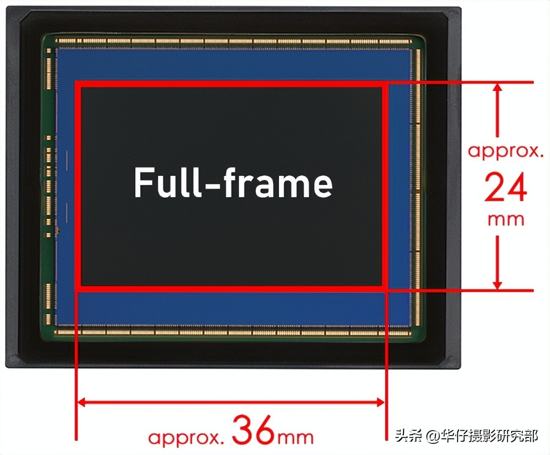 Full Frame vs APS-C Cameras: Which Should I Choose? - iNEWS