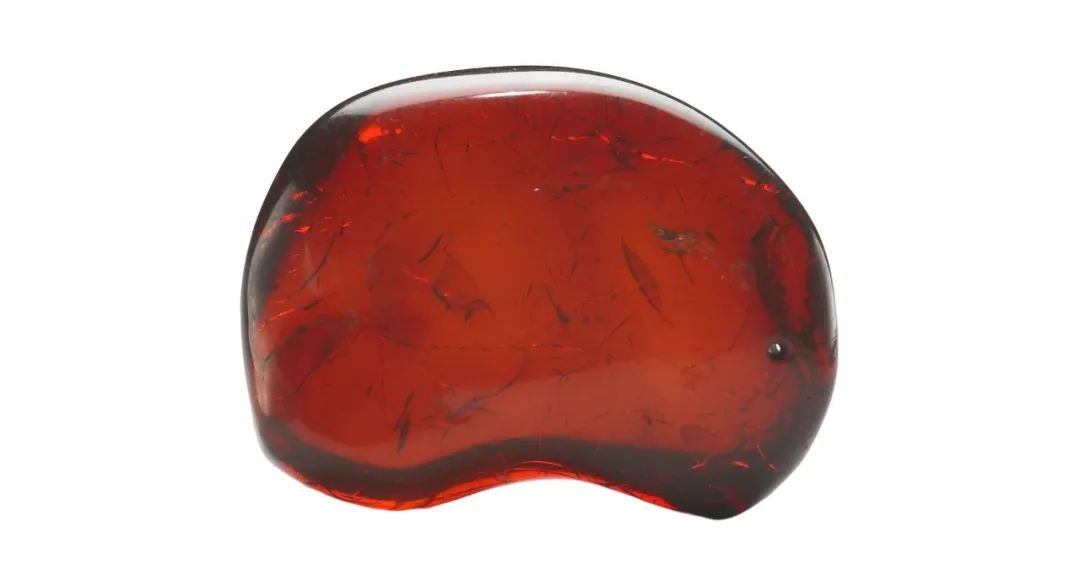 Amber l feel the beauty frozen in time - iNEWS