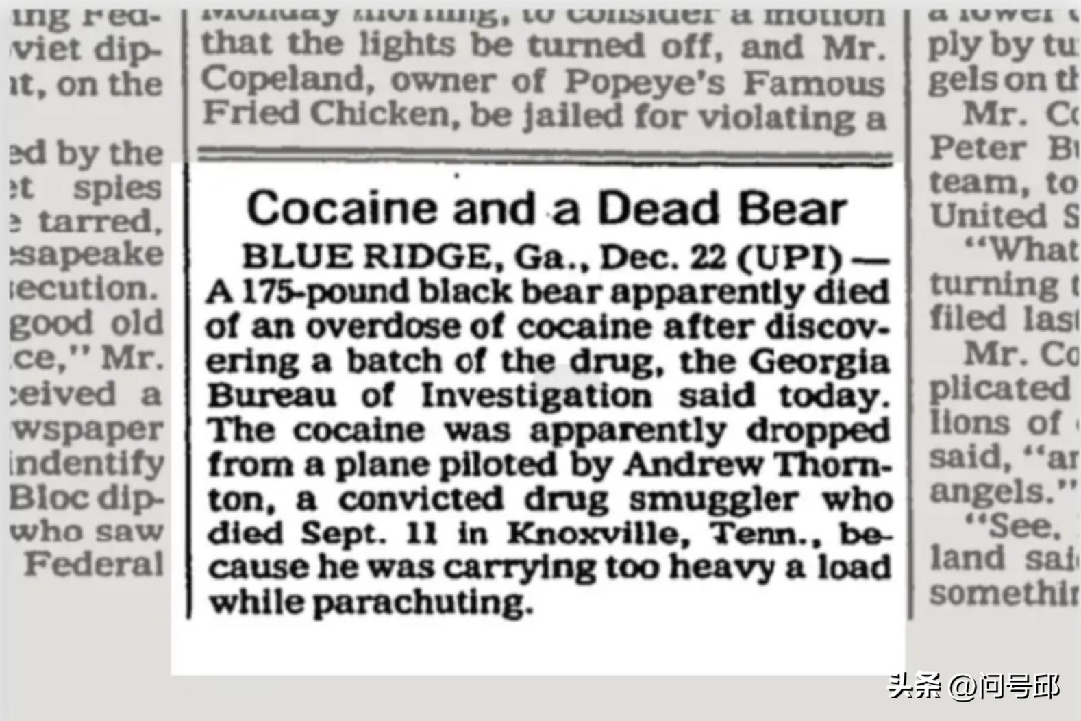 The real story behind the 'cocaine bear' that killed a black bear after ...