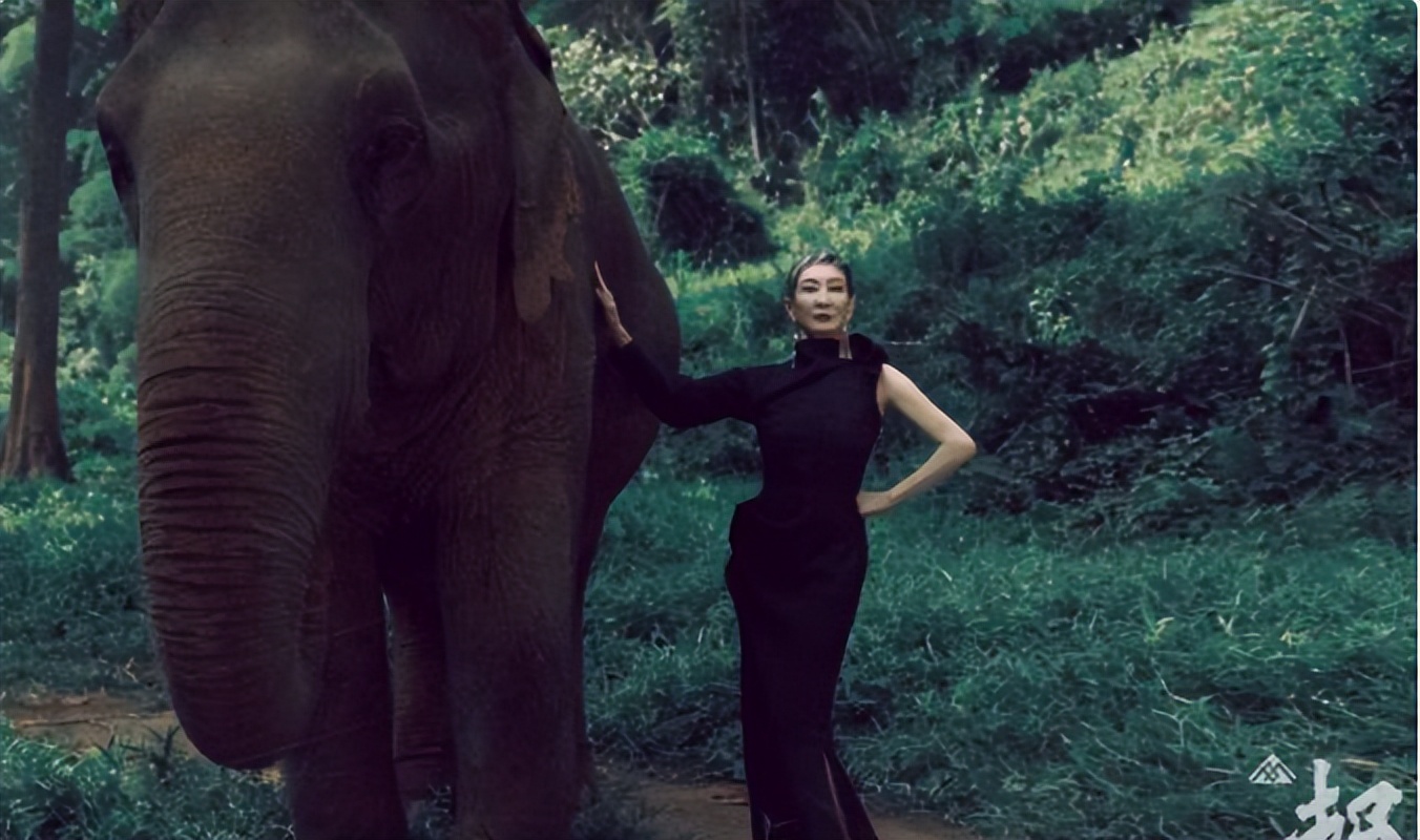 Tsui Hark's girlfriend Lele is suspected to be pregnant, and Tsui Hark ...