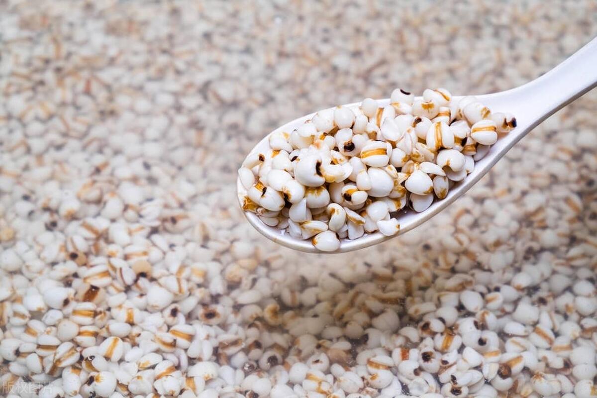 Exploring the wonderful journey of coix seed: efficacy, nutrition and ...