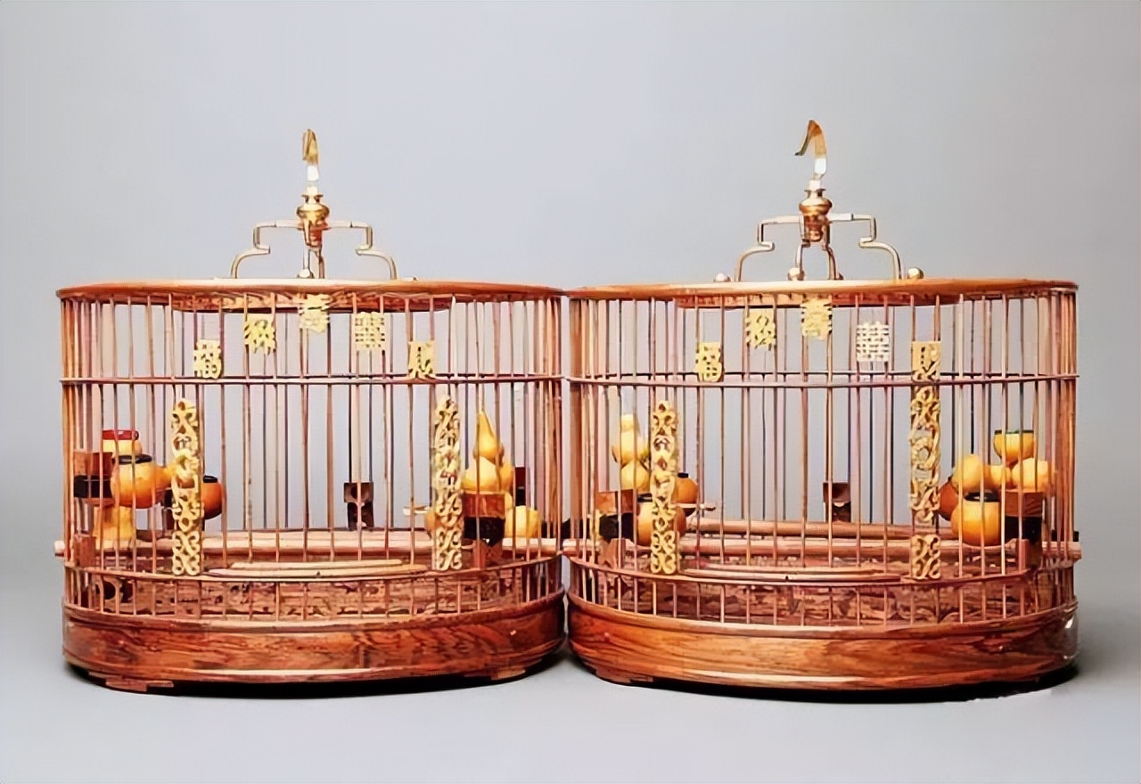 Collecting bird cages, it looks like playing, but it is actually a kind ...