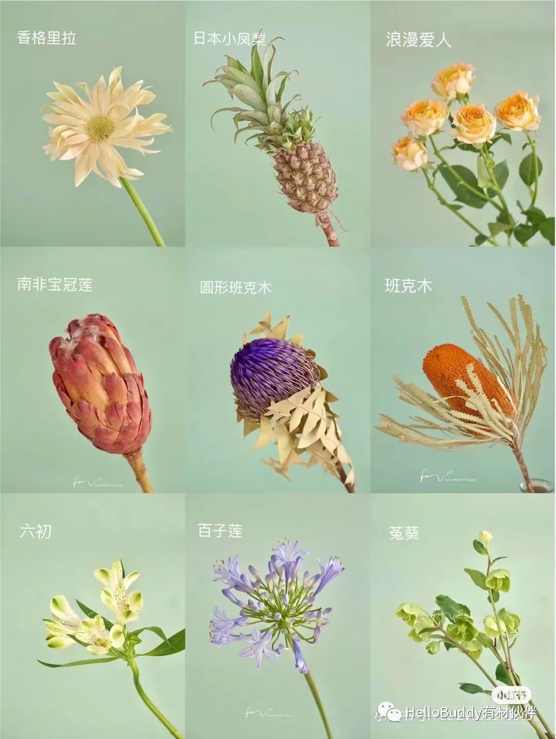 Three-dimensional flower arrangement, taste the time of precipitation ...