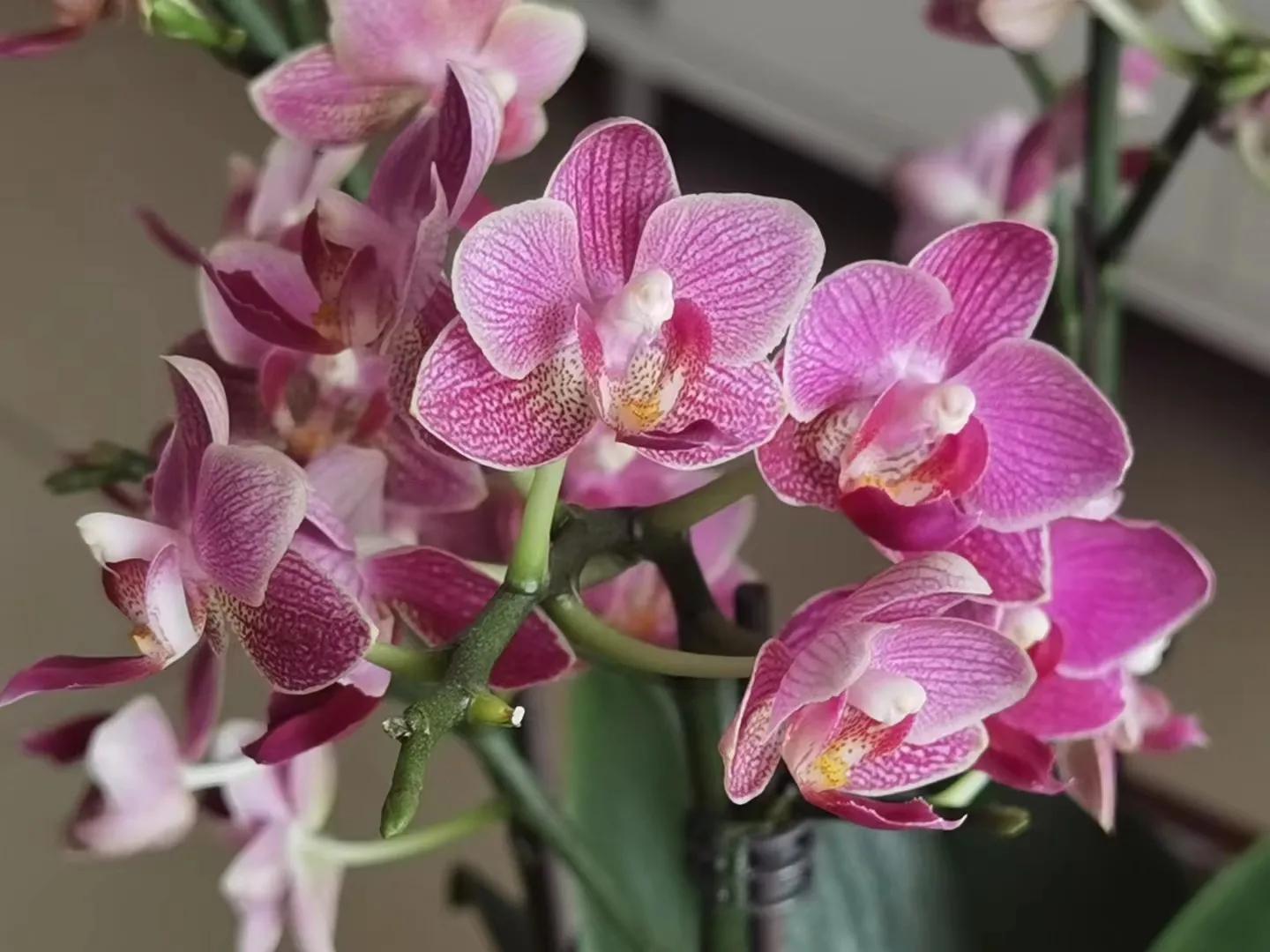 Meng Jun's Poems: "Capturing the Autumn Light": Ten Poems - iNEWS