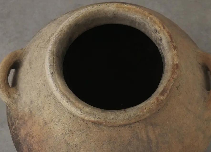 Night of Ice: A Cool Evolution of Ancient Freezers - iNEWS