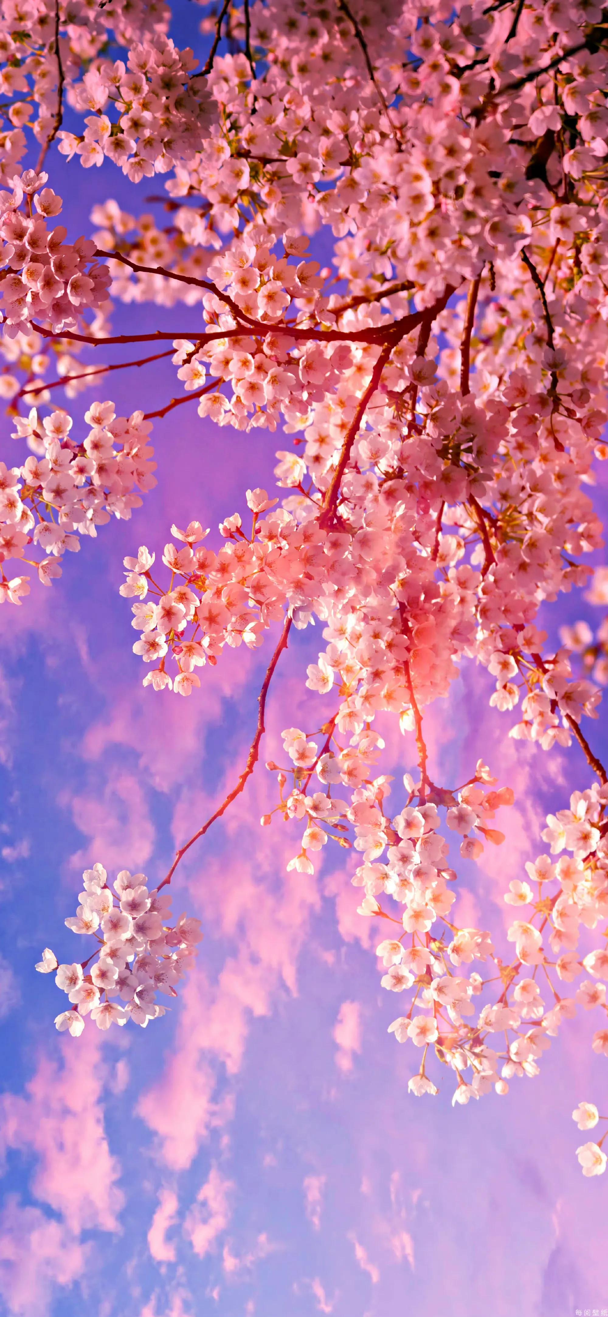 10 Beautiful Song Poems - iNEWS