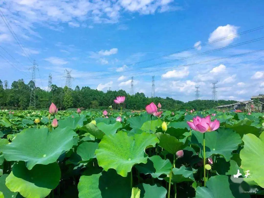 (Original) Seven Absolutes · Minhe - iNEWS