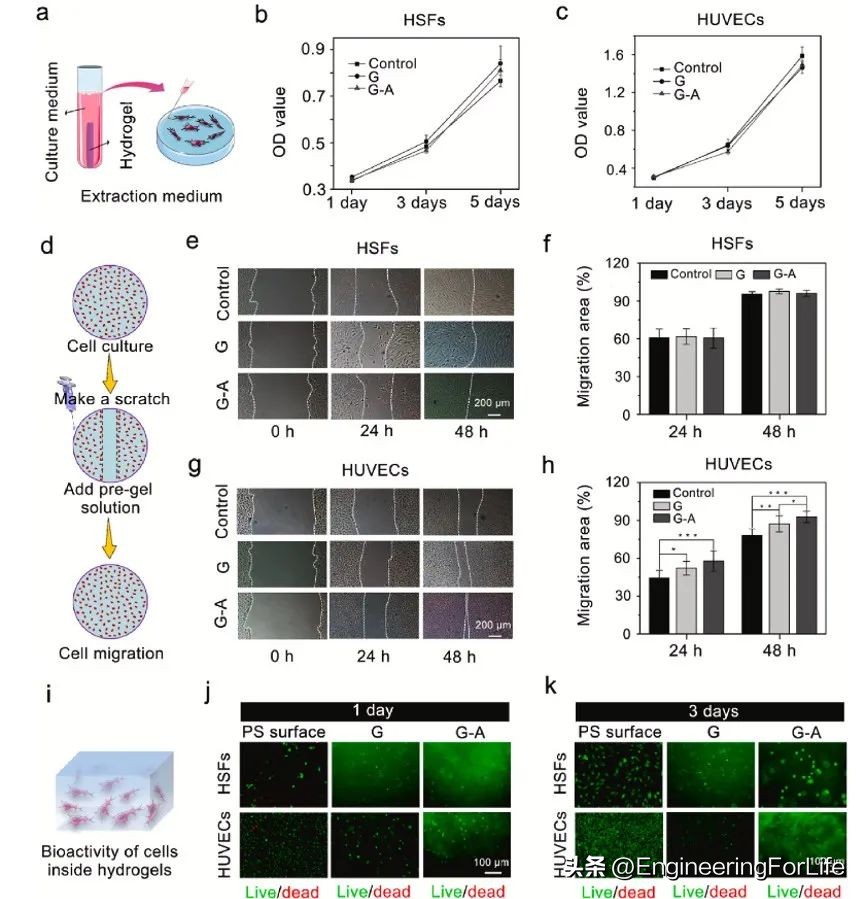 Zhejiang University team "Bioact. Mater.": "One-step" synthetic ...