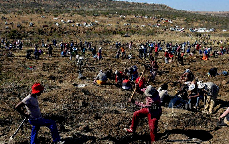 Thousands of people in South Africa dig deep into the ground to dig for ...