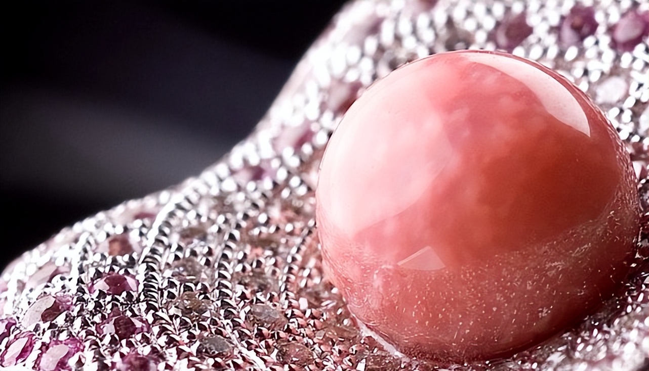 The formation and protection of conch pearls: Exploring the formation ...