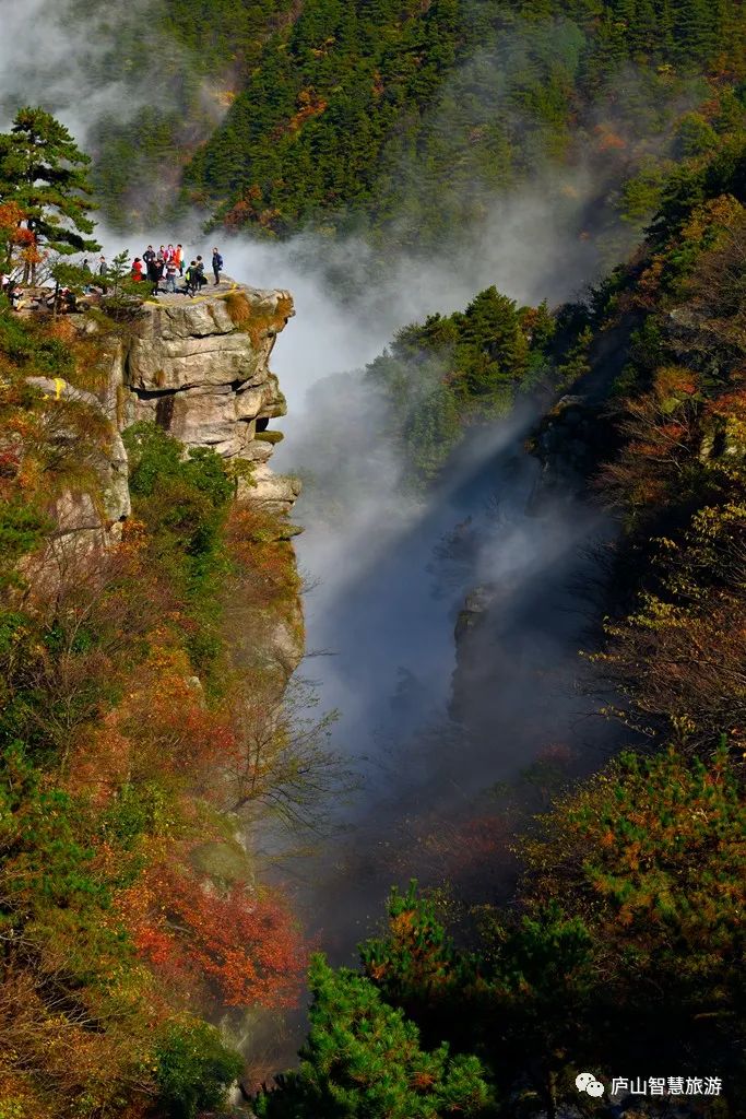 [Frost Fall] Come to Lushan to taste the taste of "Maple" - iNEWS