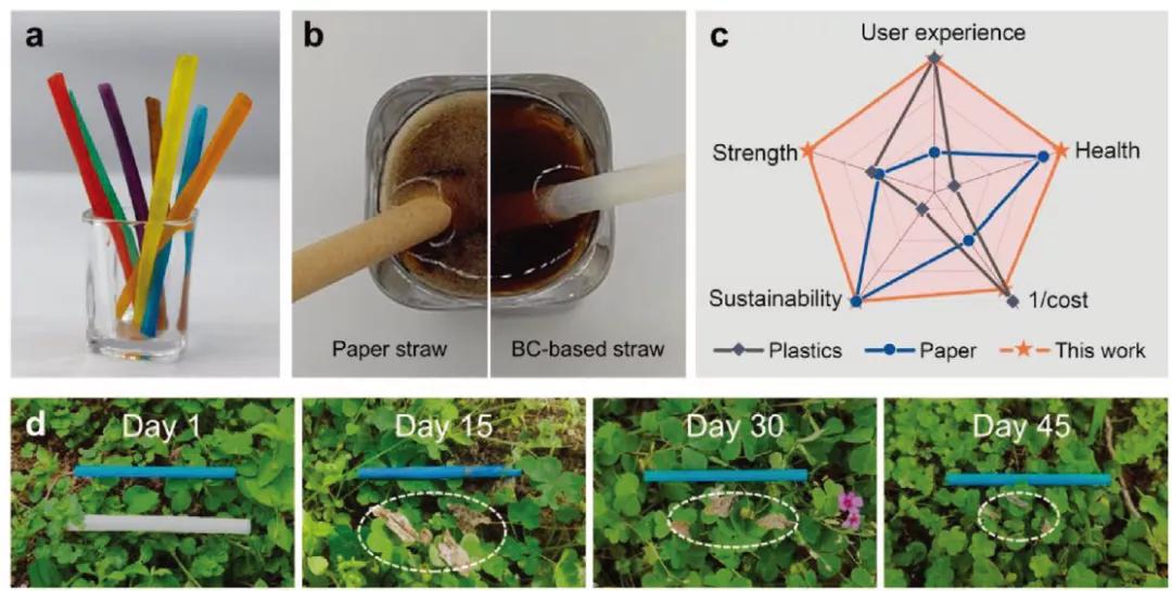 Subvert paper straws!Edible bacterial cellulose straws that are 14 ...