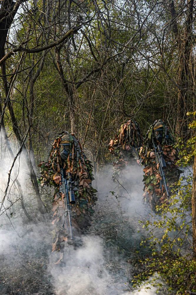 Walk into the depths of the dense forest and directly hit the "ghost ...