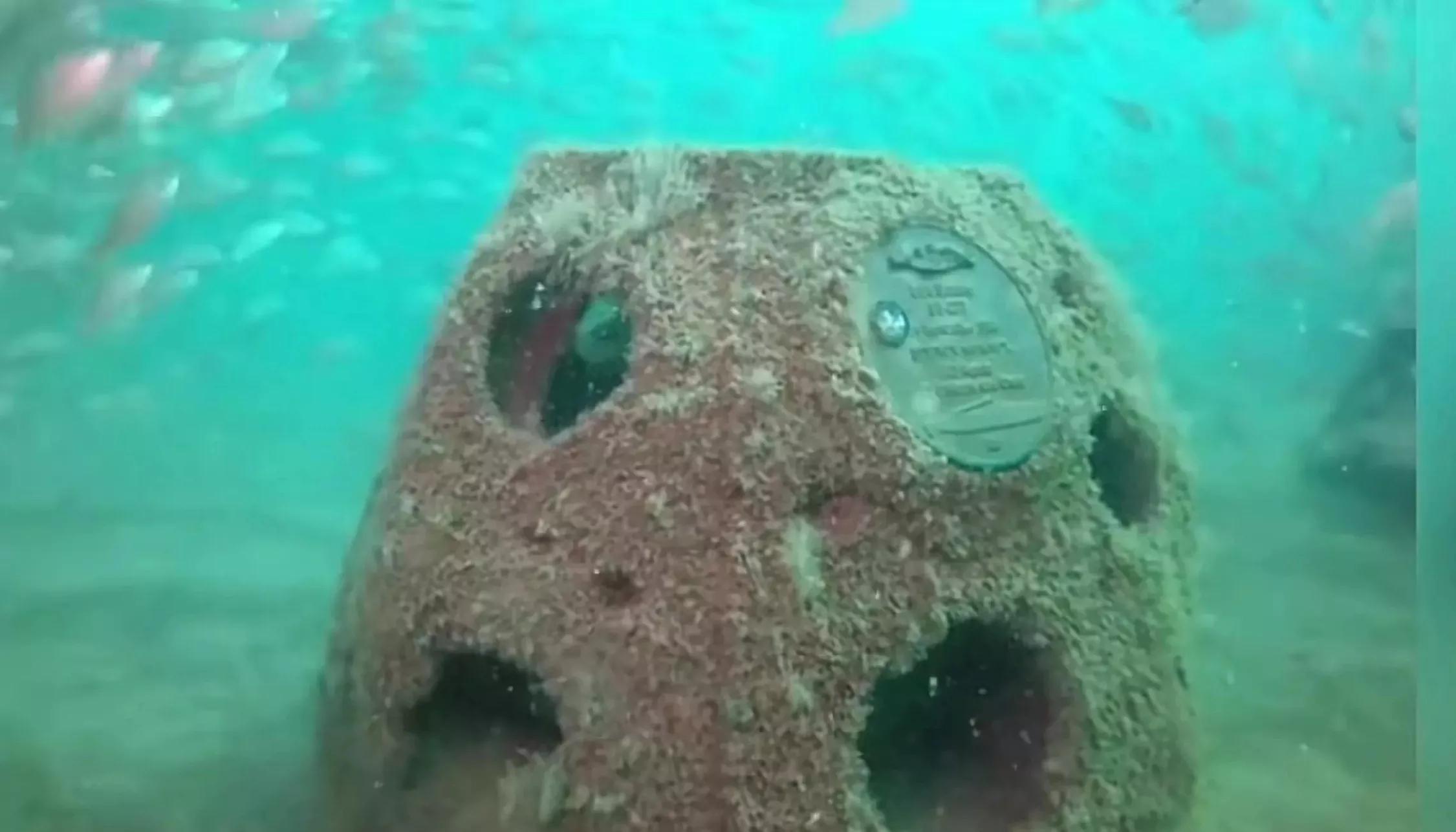 Love the sea, dance with fish, can you accept ashes mixed in concrete ...