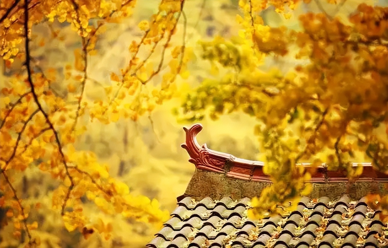 The annual autumn wind is strong, ancient poems about the autumn wind ...