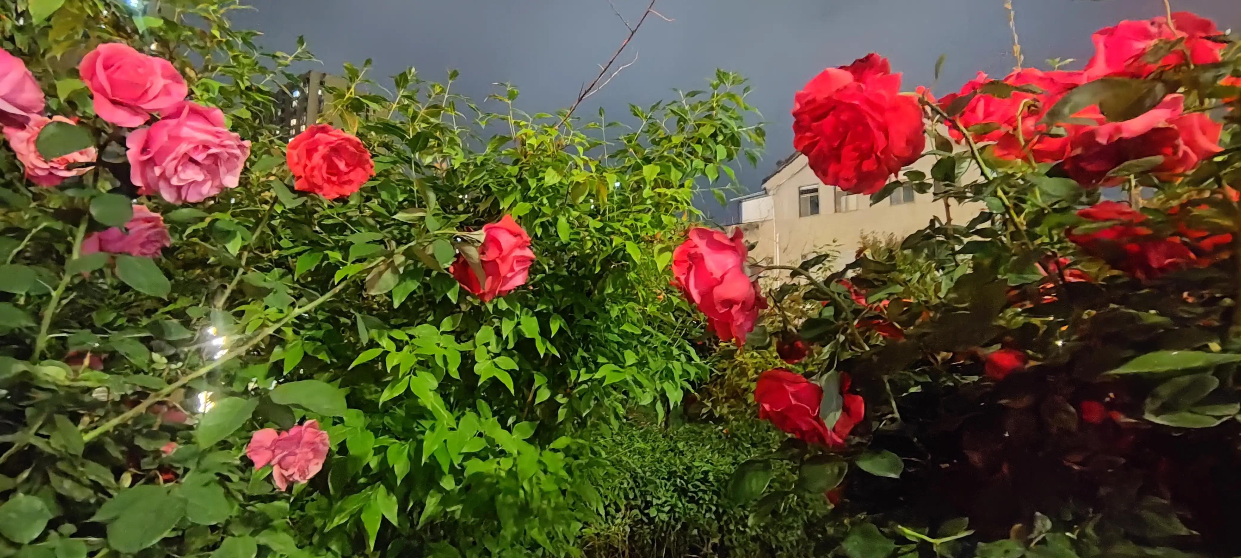 night reading - iNEWS