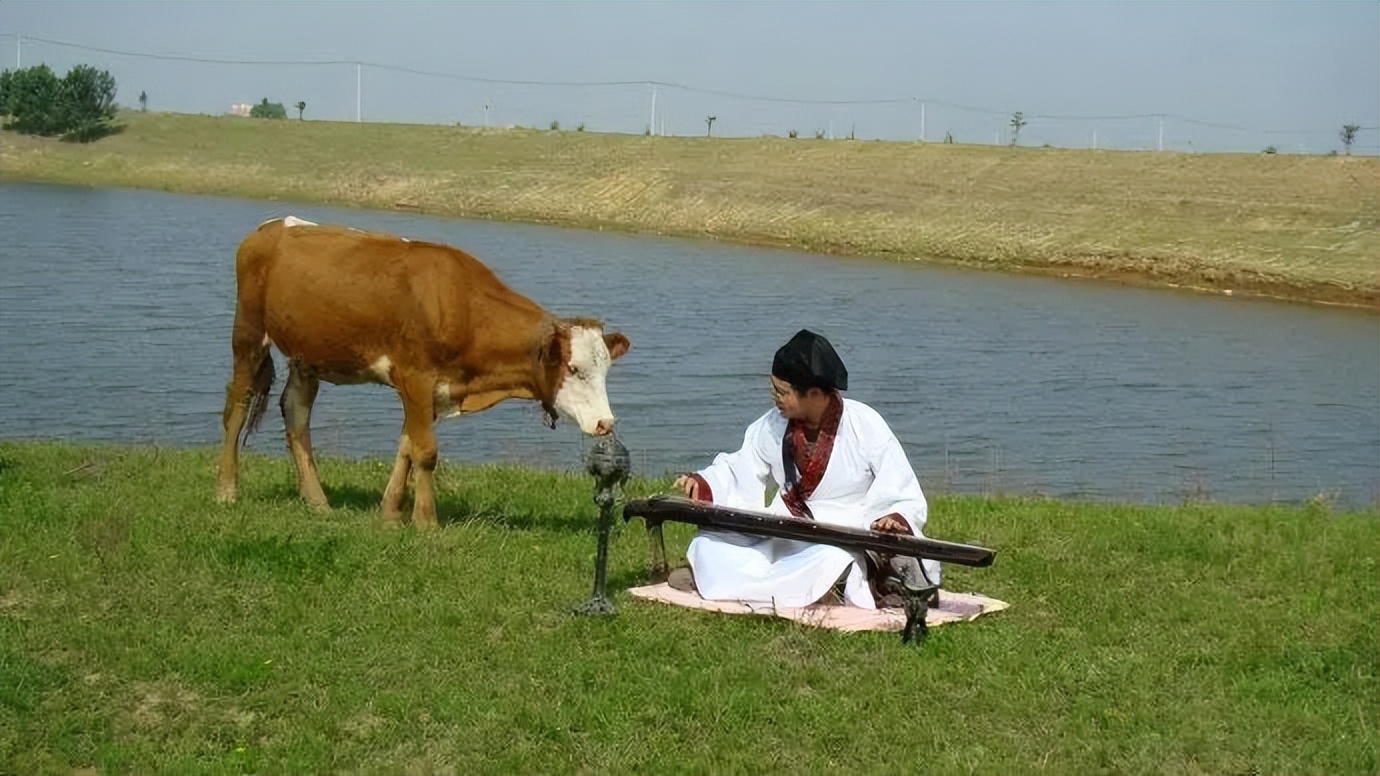 Playing the piano to a cow is not because the cow doesn't understand ...