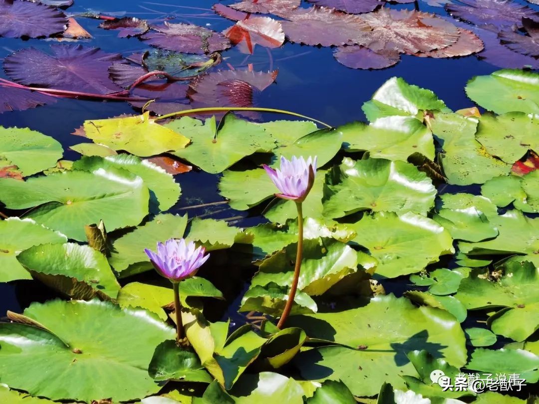 Read the Tao Te Ching (33) - iNEWS