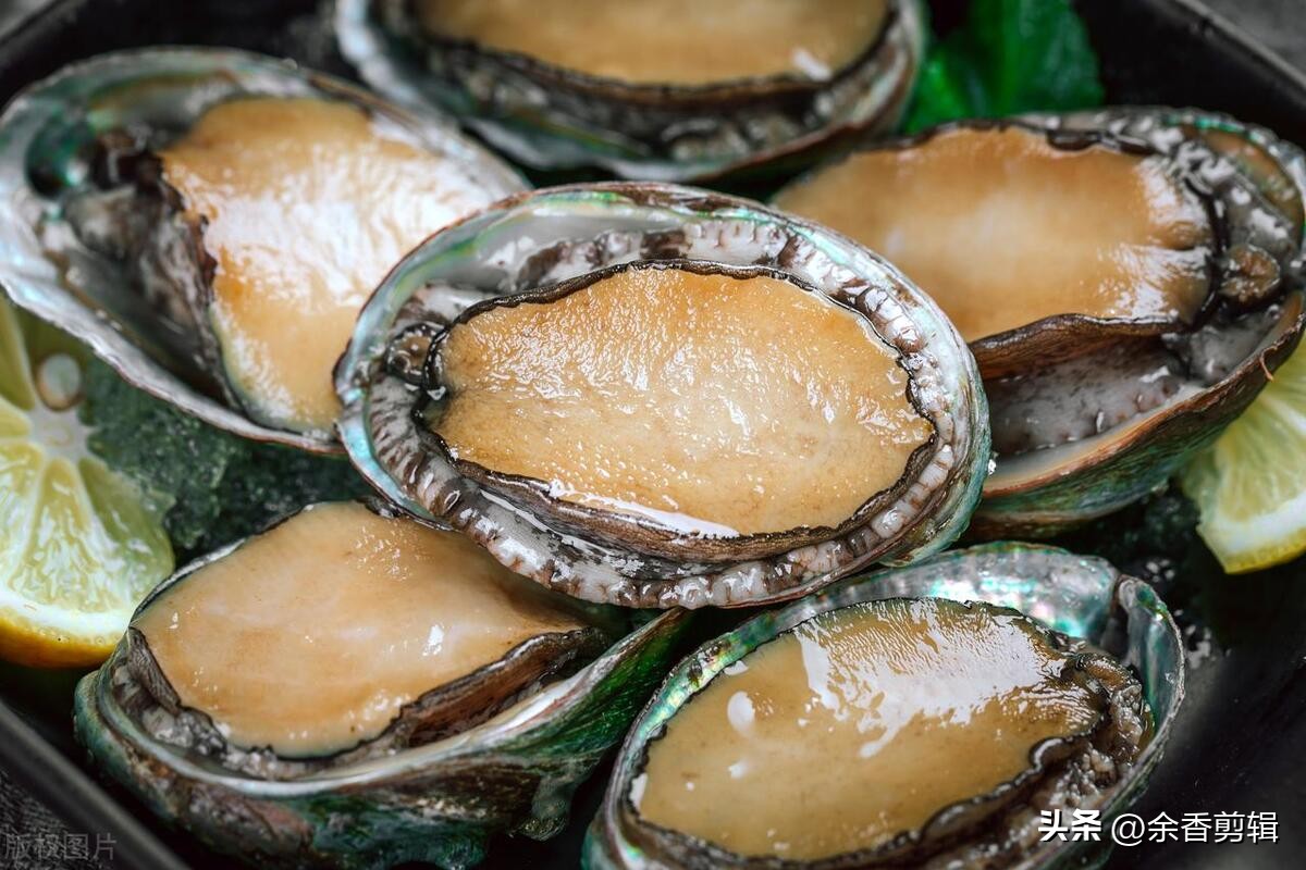 Teach you how to deal with clean live abalone - iNEWS