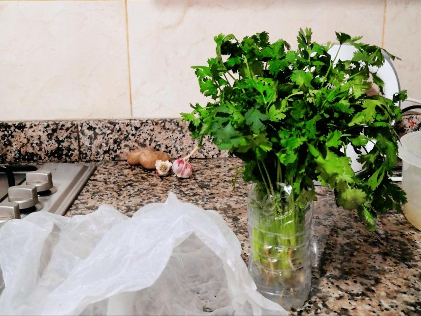 Save the coriander and put it in the refrigerator directly - iNEWS