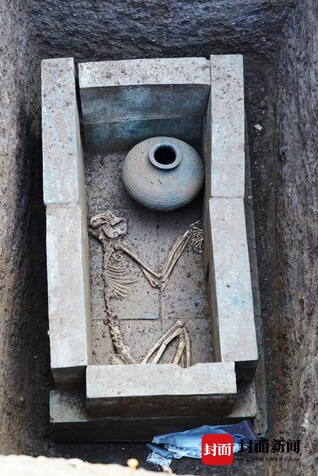 Baling archaeological secrets revealed: there are giant pandas, Asian ...