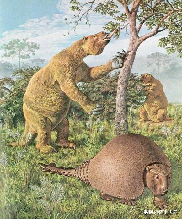 Prehistoric heavyweight boxer ~ giant ground sloth, standing up to five ...