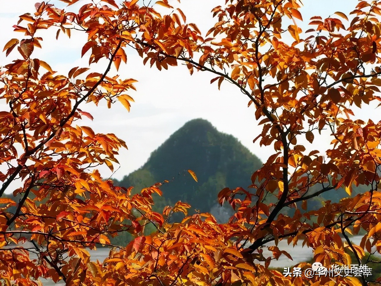 Four Seasons in Huazhou Mountain City - iNEWS