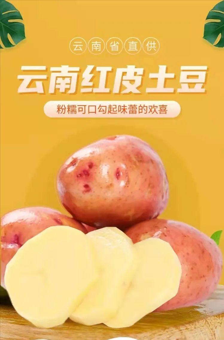 Chenyi Story: Soft, glutinous and sweet Yunnan red potatoes - iNEWS