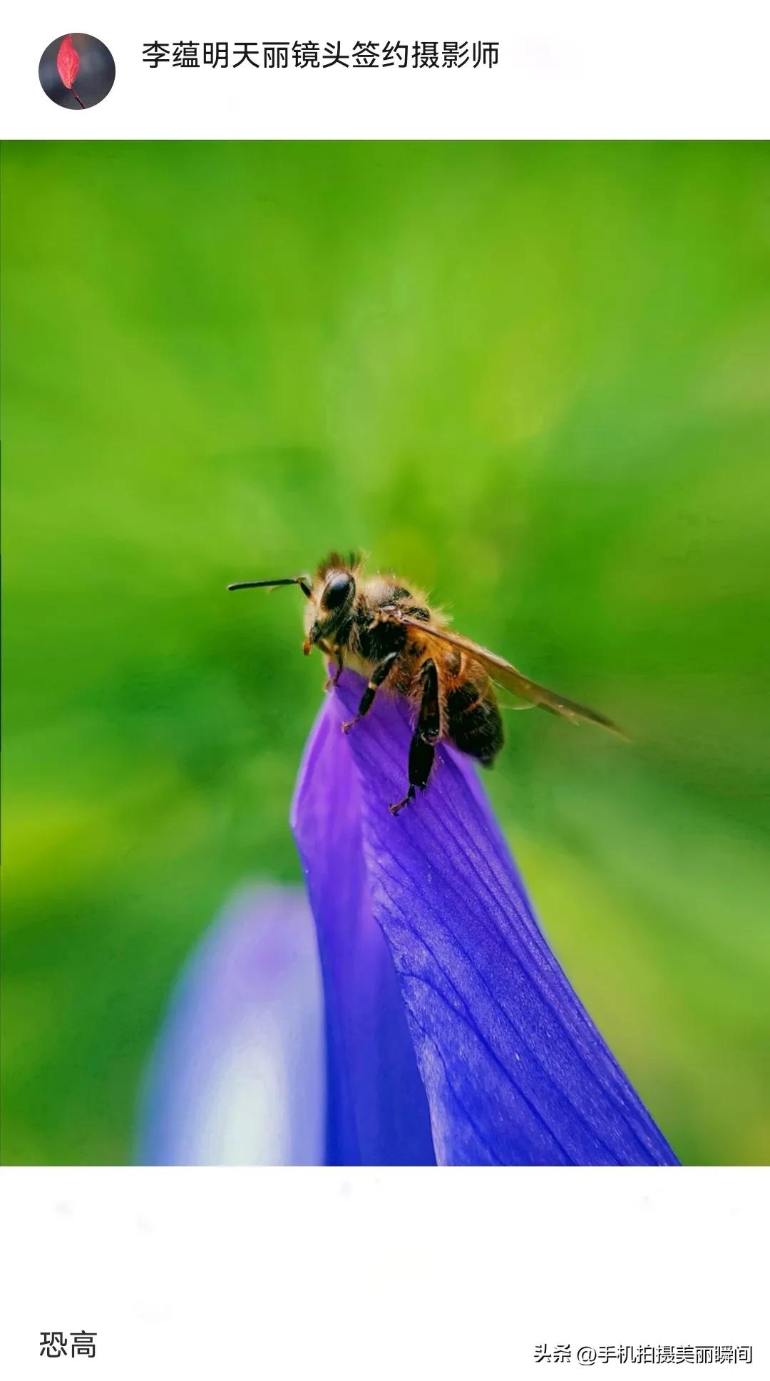 Mobile photography works enter the photography platform selection - iNEWS