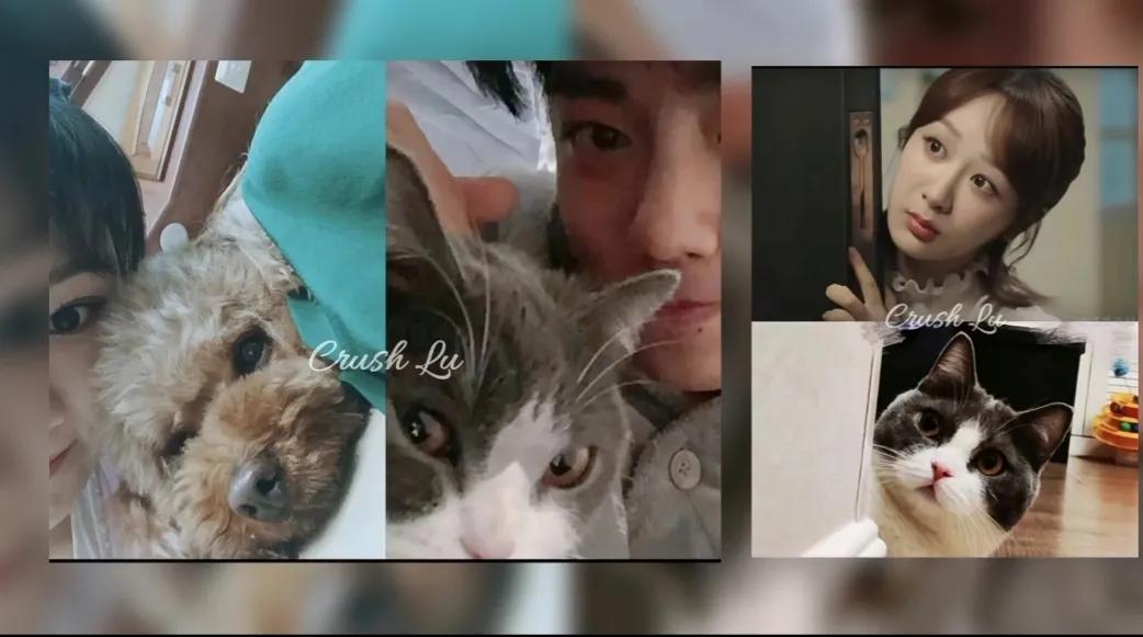 Xiao Zhan knew that the whole network was knocking him and Yang Zi's CP, but he didn't stop him ...