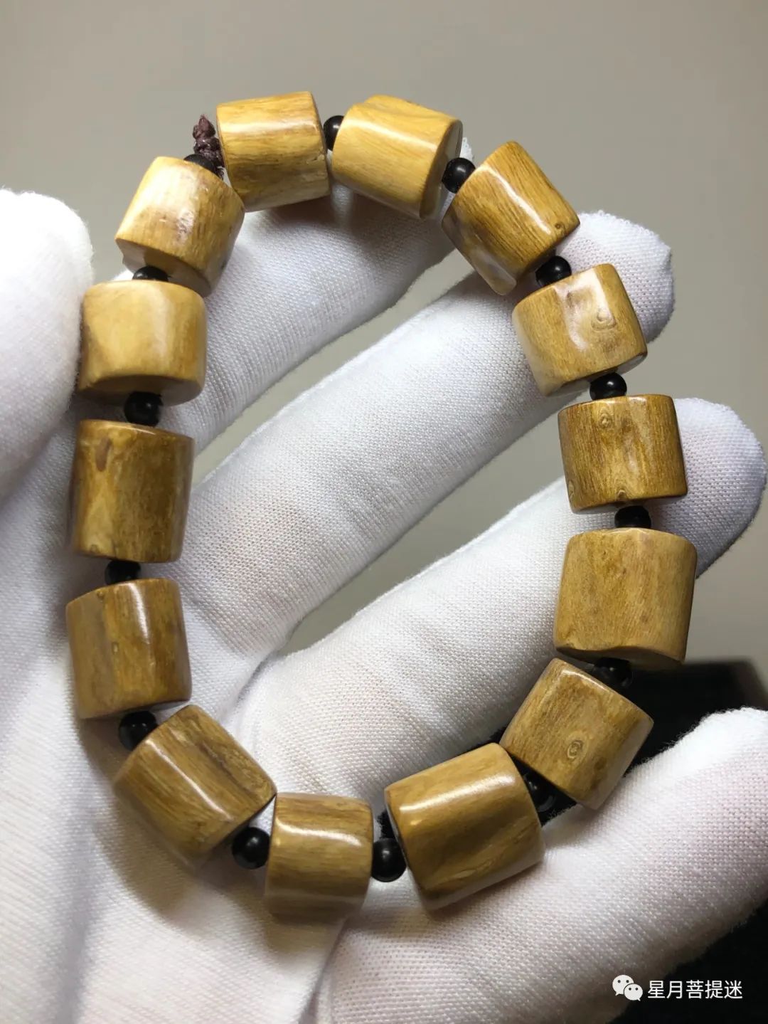 How to distinguish true and false sea willow?What are the varieties of ...