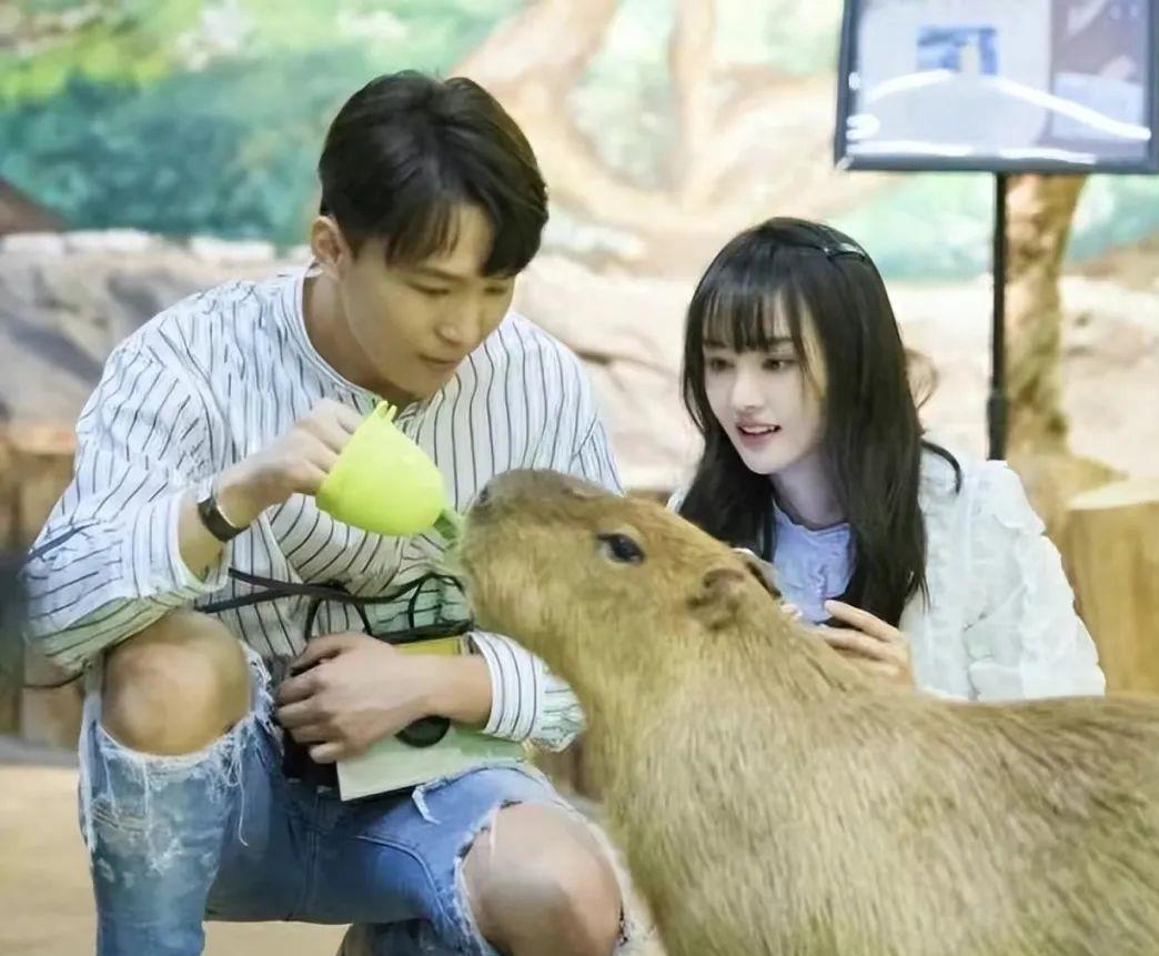 Zheng Shuang and Zhang Heng: The turning point of fate - iMedia