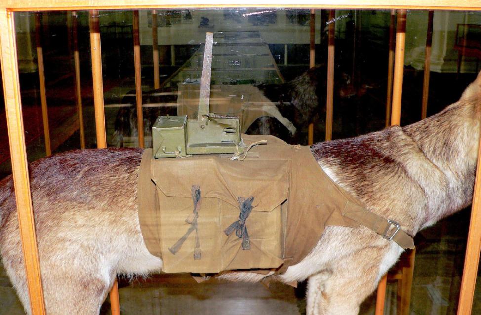 You think they are animals, but they are actually weapons that are more ...