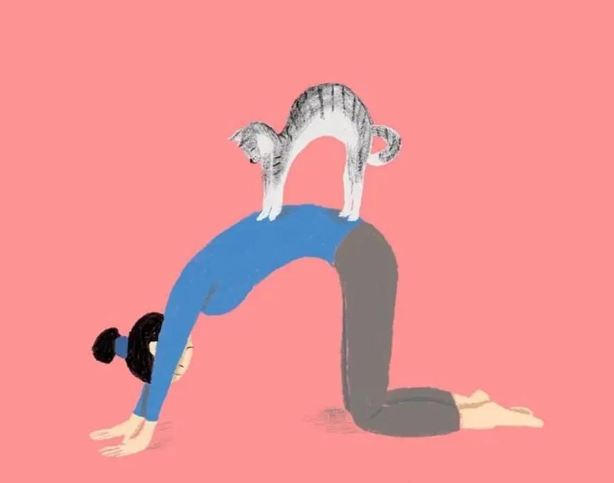 Practice one pose every day: cat pose - iNEWS