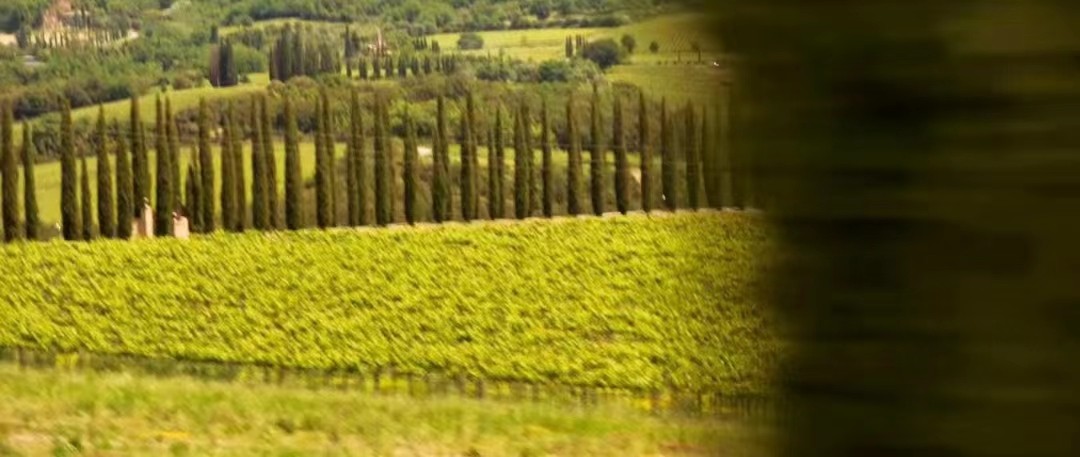 Confused and bumpy? Luca Morandi shows the world how nightmares end ...