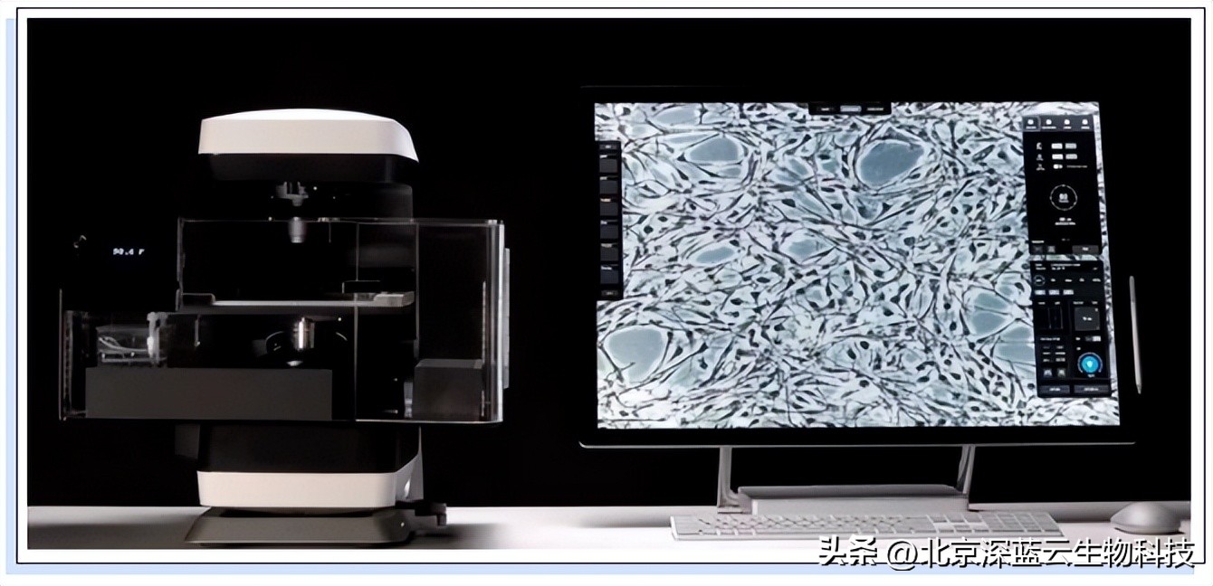 What is live cell imaging and how to get a good live cell imaging ...