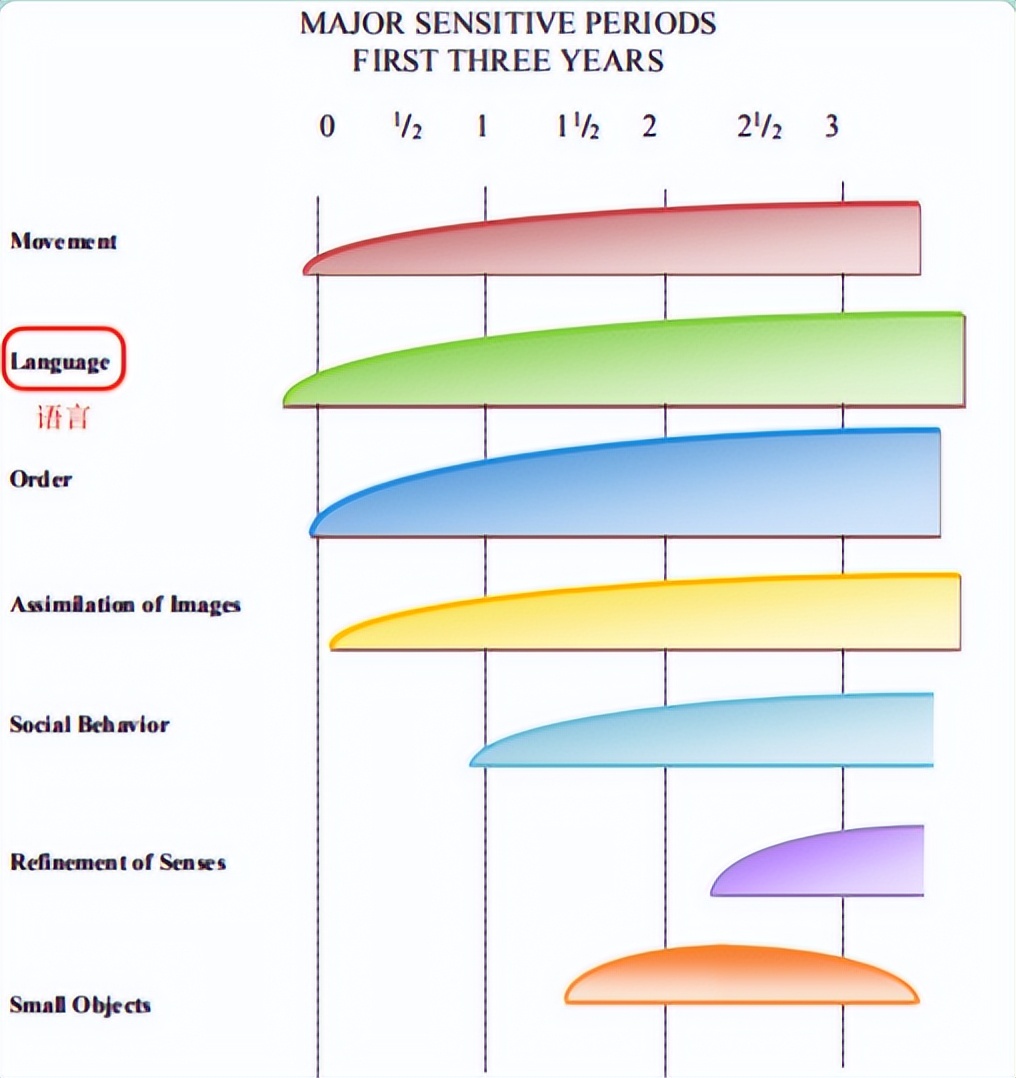 How old is a child's language sensitive period?Live this stage well and ...