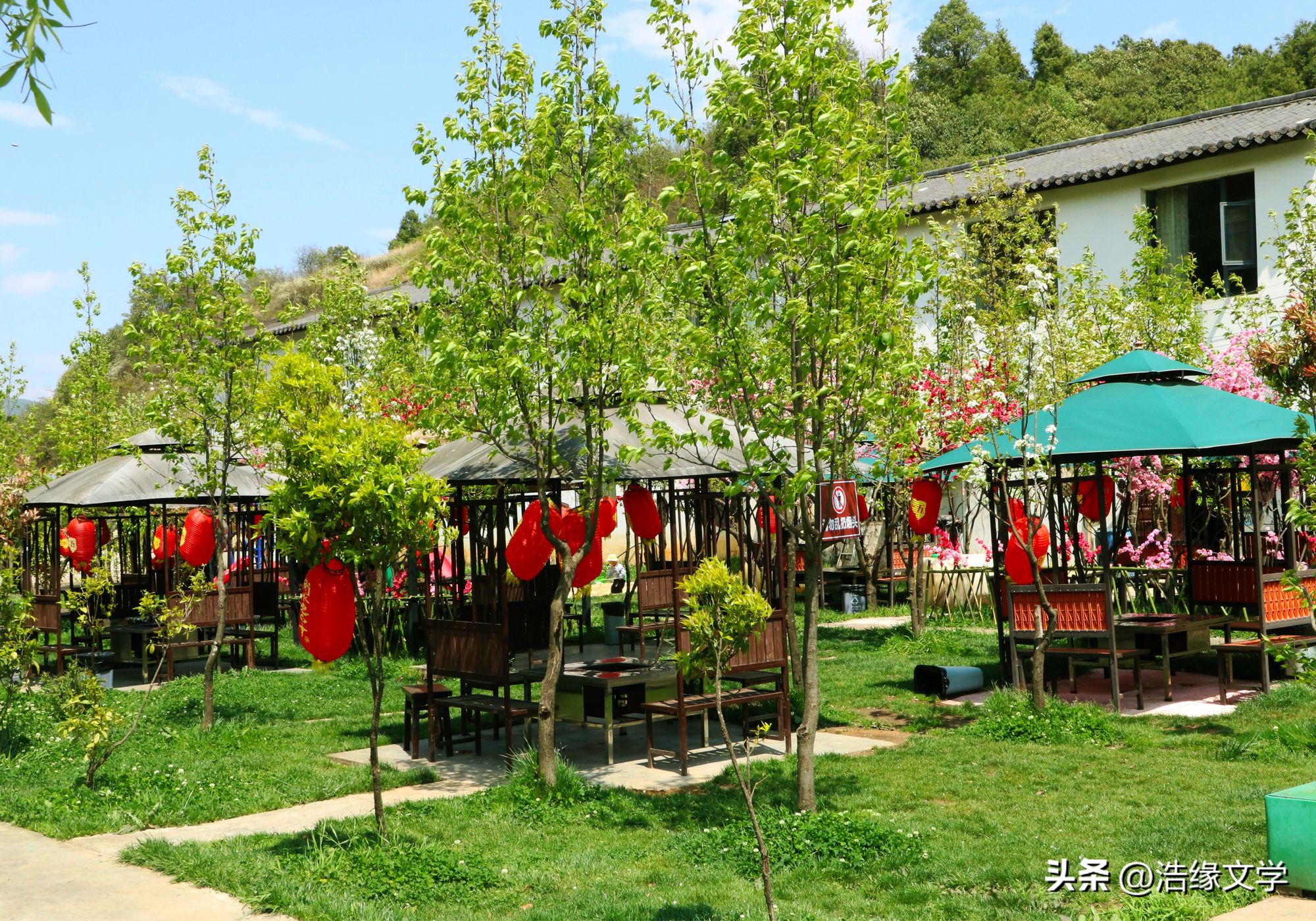 Hao Yuan's Prose: When I'm Old, I'm Happy - iNEWS