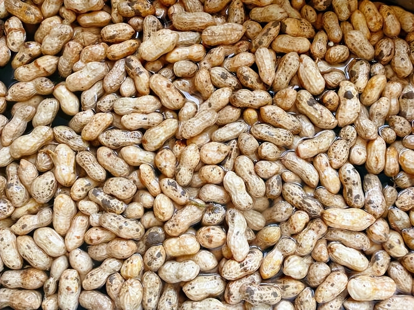 Boiled peanuts in salt water, many people do it wrong once they are in ...