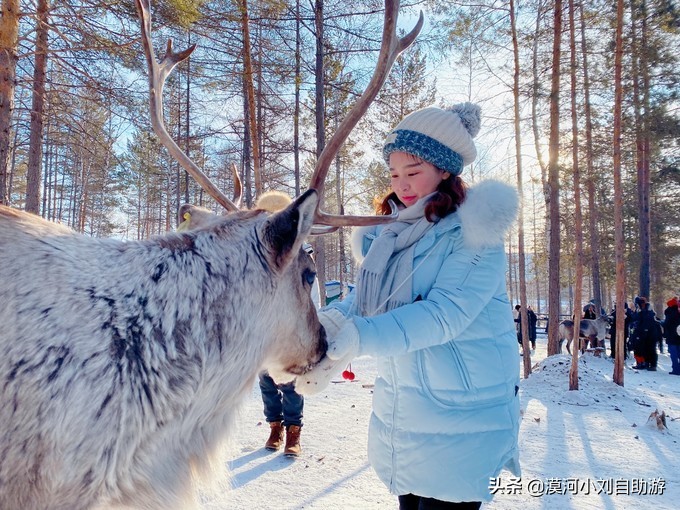 A 3-day tour of Mohe ice and snow, walk into the Ewenki envoy tribe ...