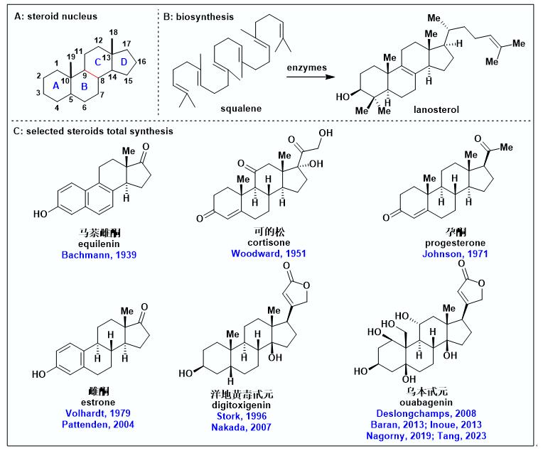 When new steroids hit cycloaddition: "Steroids" are doomed - iMedia