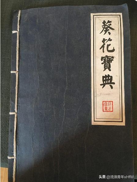 Can people really wield sword energy? - iMedia