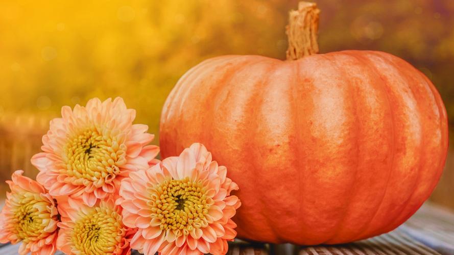 Interesting knowledge - why "pumpkin" is called pumpkin - iMedia