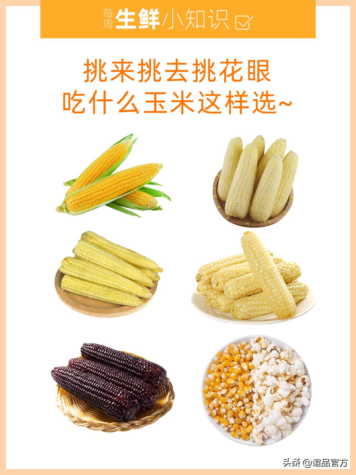 Common types and characteristics of corn - iMedia