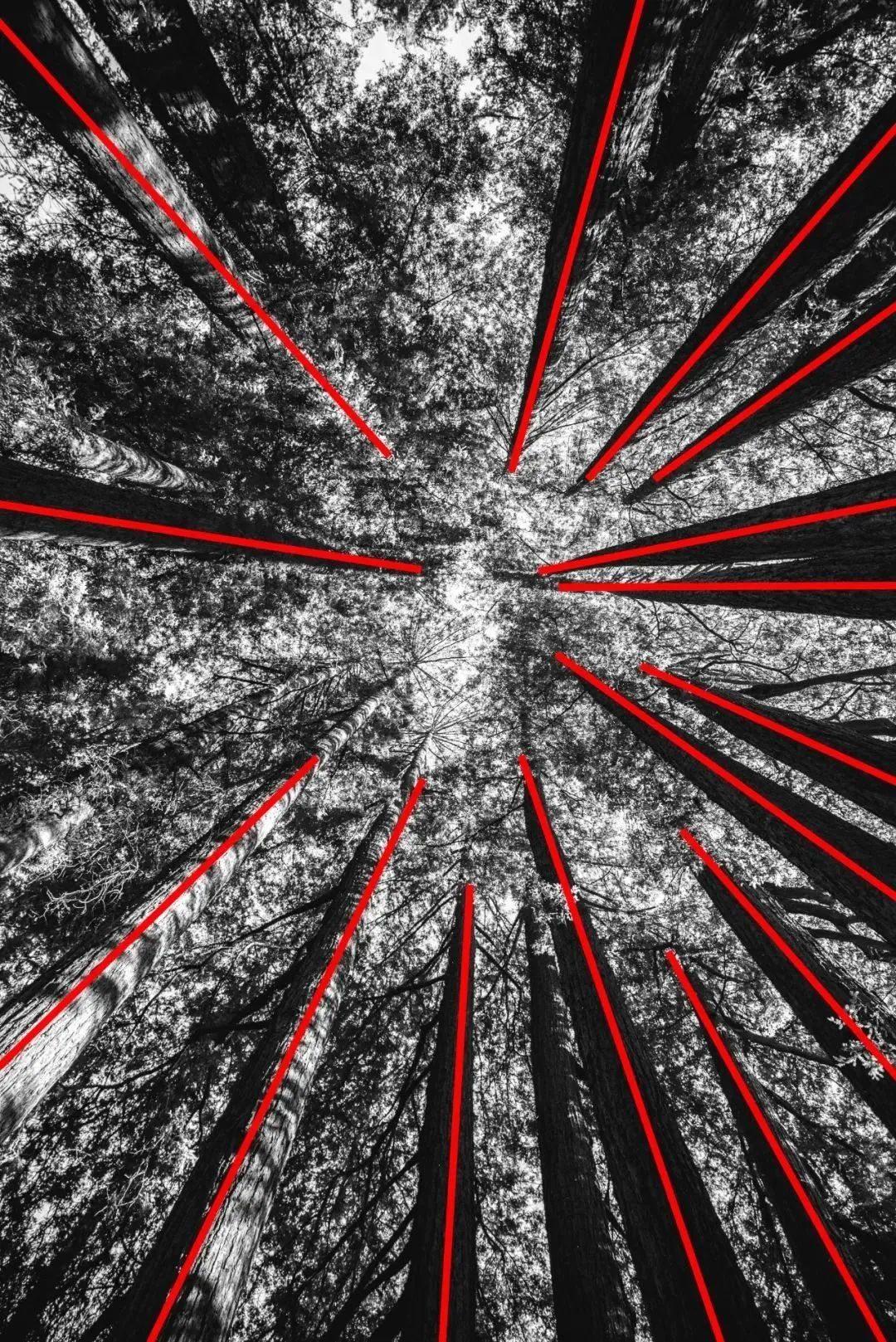 The Secret to Good Photos: Leading Line Composition - iNEWS