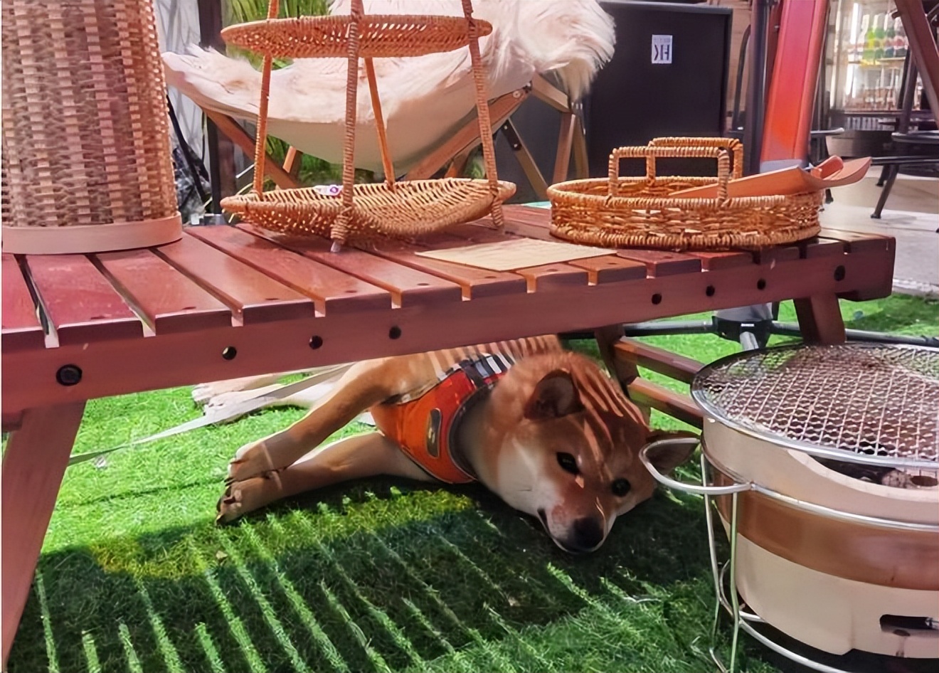 Beer + barbecue + crayfish + camping, this tavern in Moon Bay is full ...