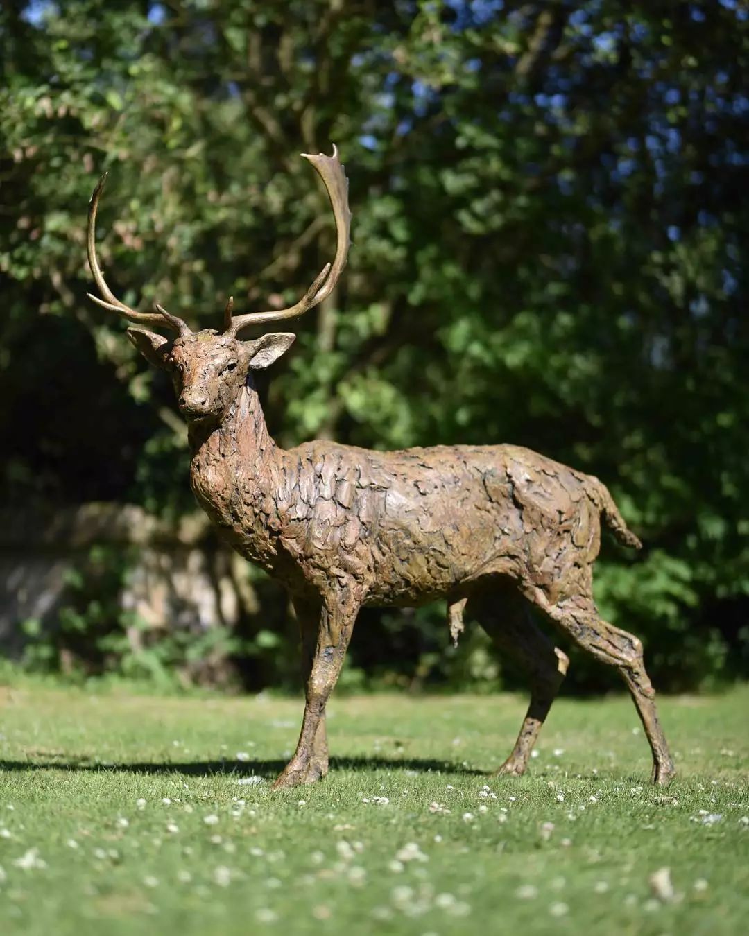 Hamish Mackie's vibrant animal sculptures - iNEWS