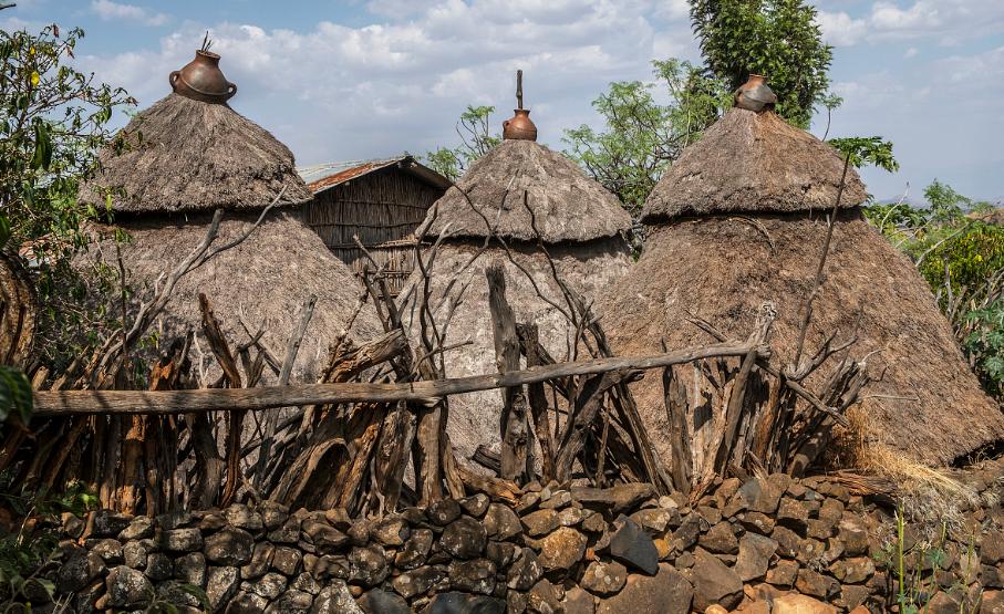 The origin, development and evolution of the Sali tribe, as well as the ...